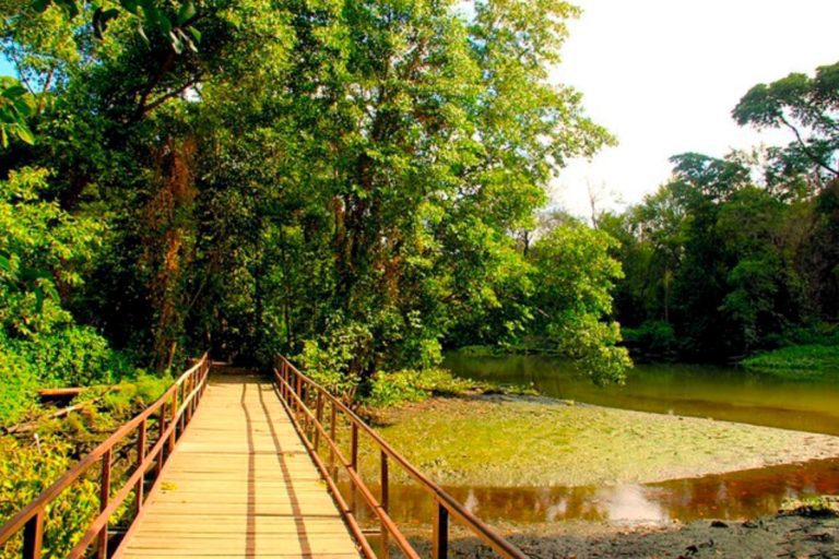 Parques em Fortaleza: conheça as áreas ao ar livre da cidade