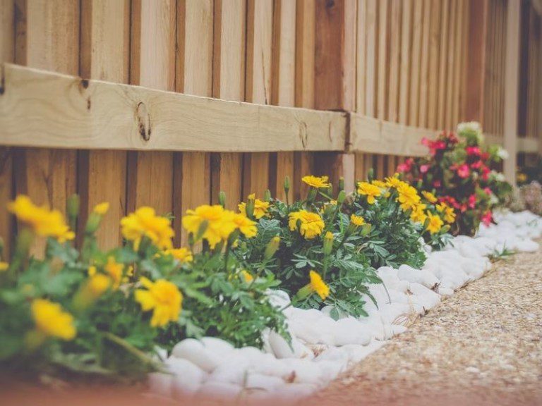 Paisagismo de jardim: 12 ideias para se inspirar